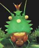 Welcome to TickleBugs.com